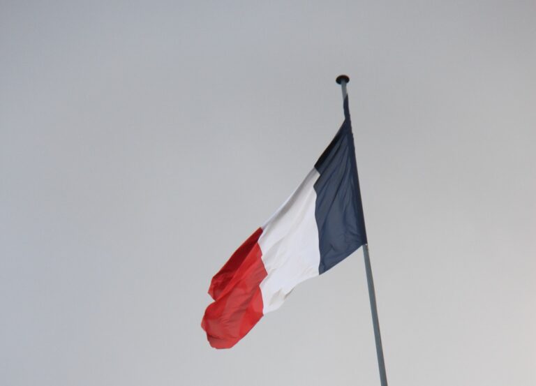 France intends to classify Sodium Fluoride as an endocrine disruptor ...